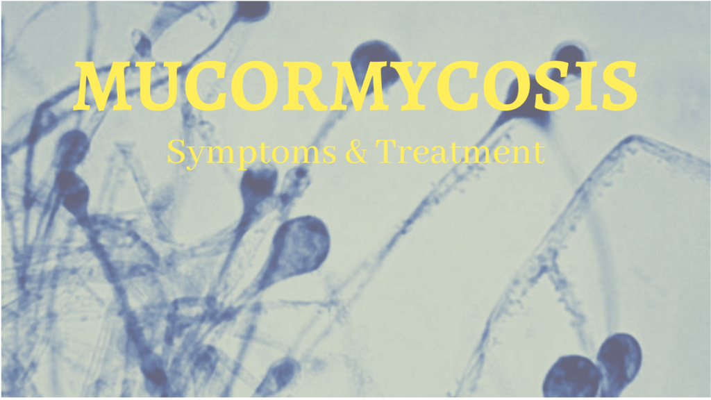Mucormycosis Black Fungus: Symptoms & Treatment